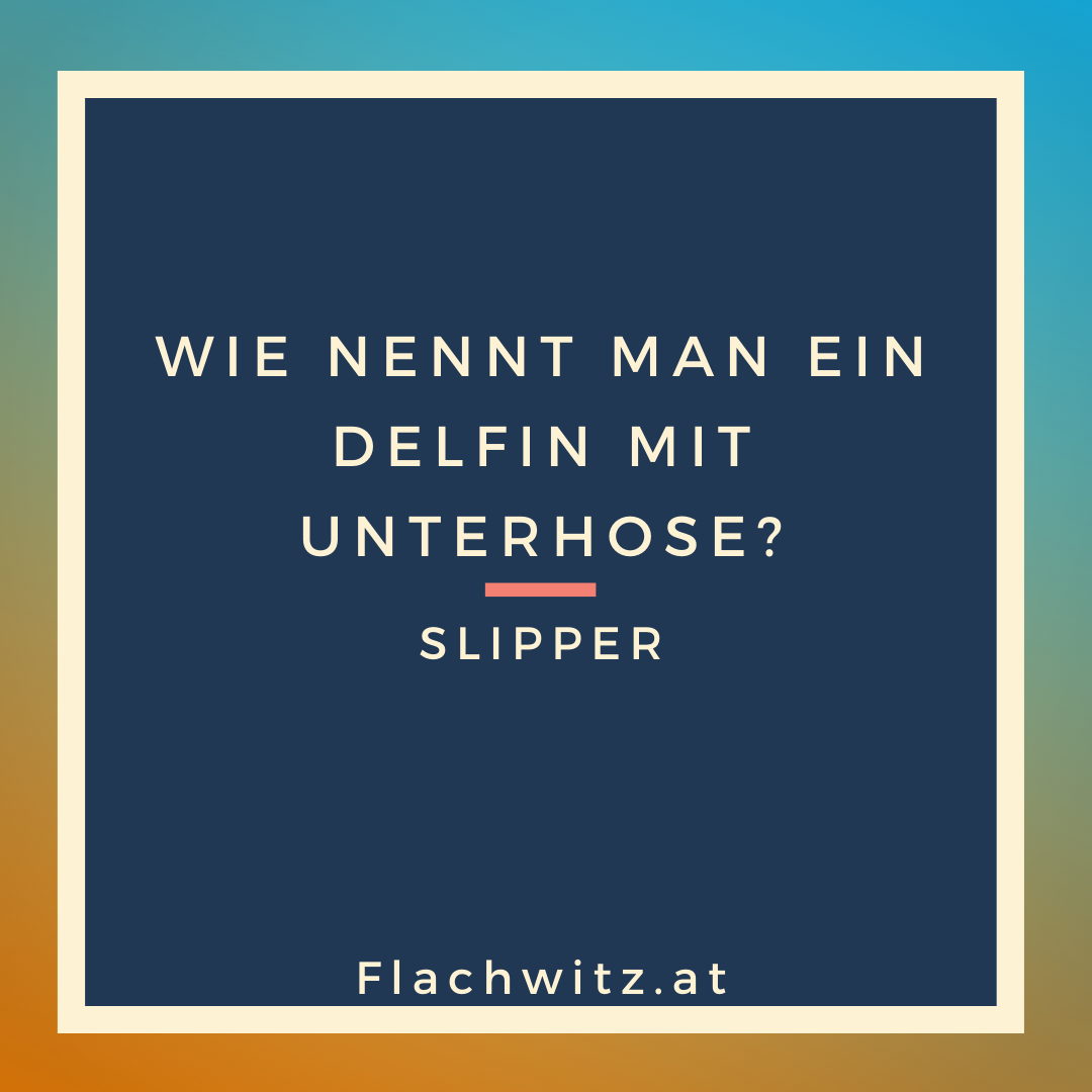 Wie nennt man ein Delfin mit Unterhose? – flachwitz.at