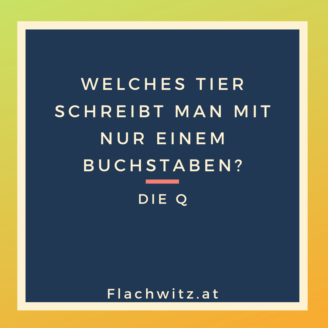 Welches Tier schreibt man mit nur einem Buchstaben? – flachwitz.at