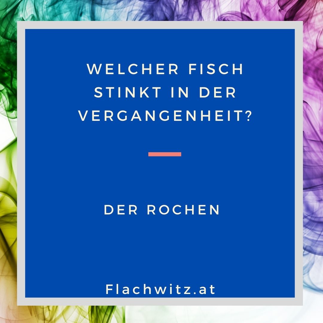 Welcher Fisch stinkt in der Vergangenheit? – flachwitz.at