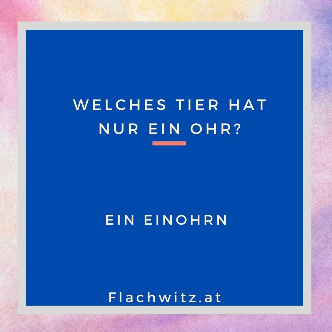 Welches Tier hat nur ein Ohr? – flachwitz.at